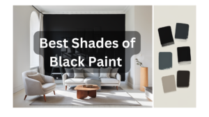 15 Best Shades of Black Paint to Redefine Your Walls - Opple House