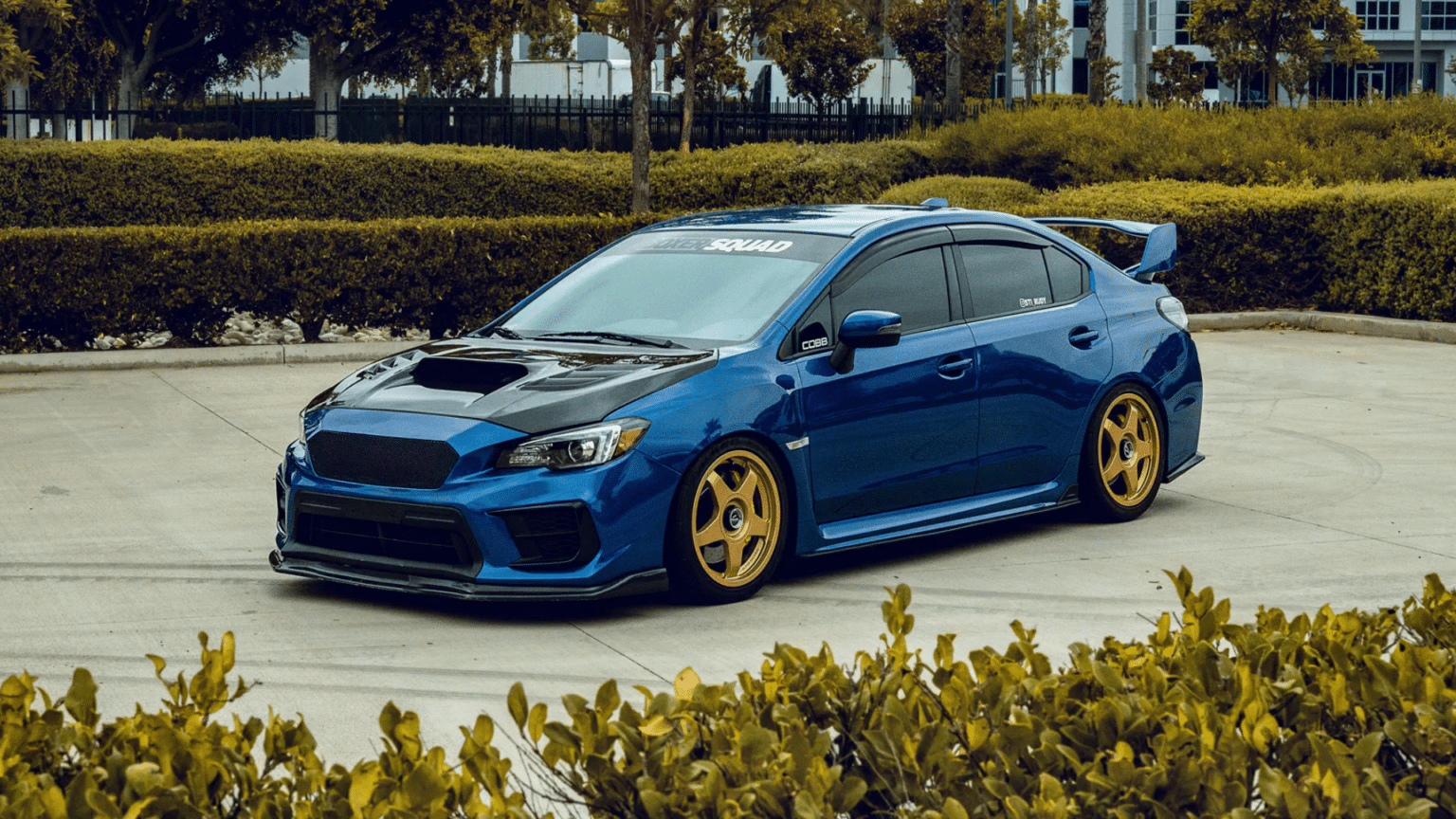 How to Choose the Perfect Gold Wheels for Your WRX? - Opple House