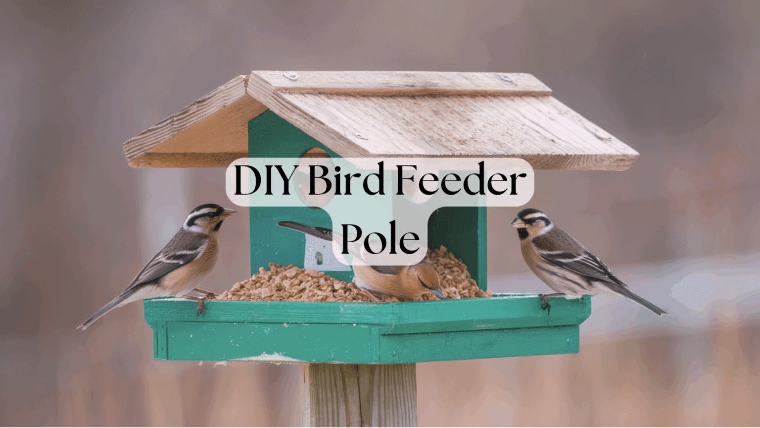How to Build a DIY Bird Feeder Pole? Easy Tips and Ideas - Opple House