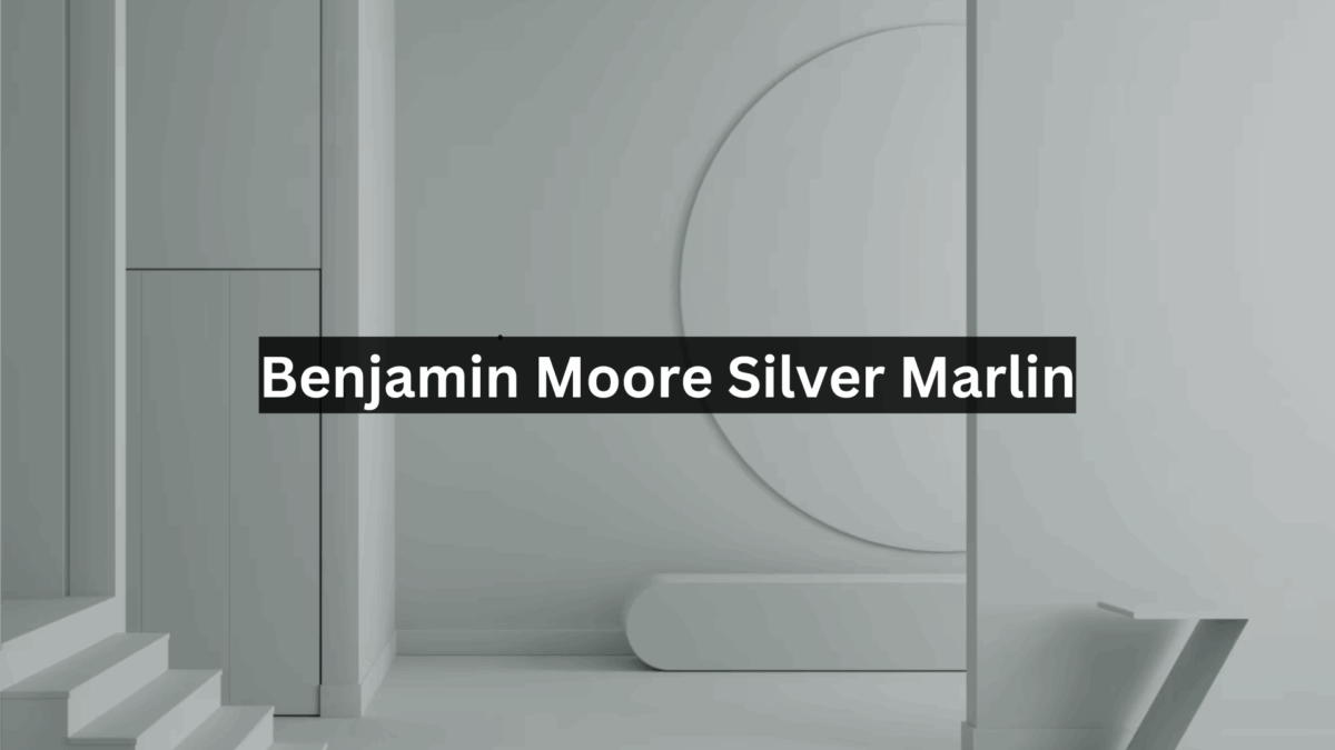 Reviewing Benjamin Moore's Silver Marlin (2139-50) - Opple House