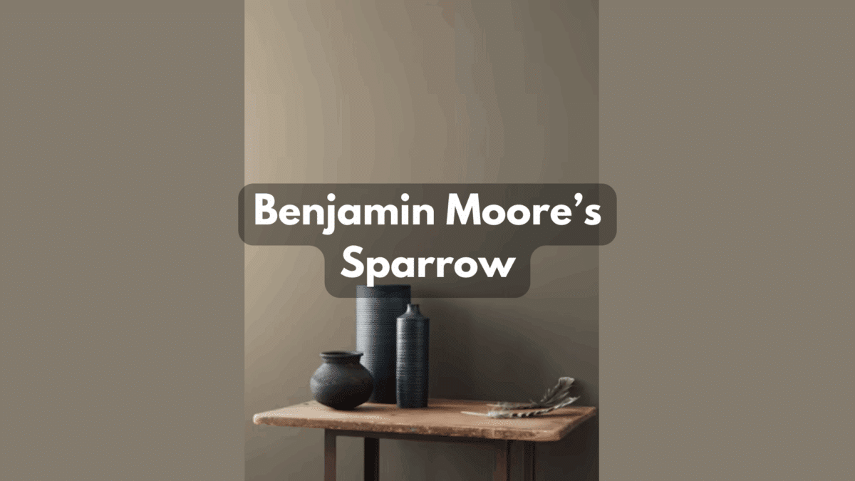 Reviewing Benjamin Moore's Sparrow (AF-720) - Opple House