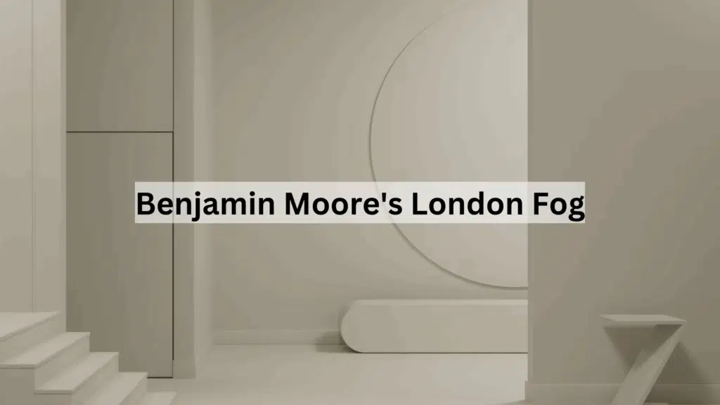 Reviewing Benjamin Moore's London Fog (1541) - Opple House