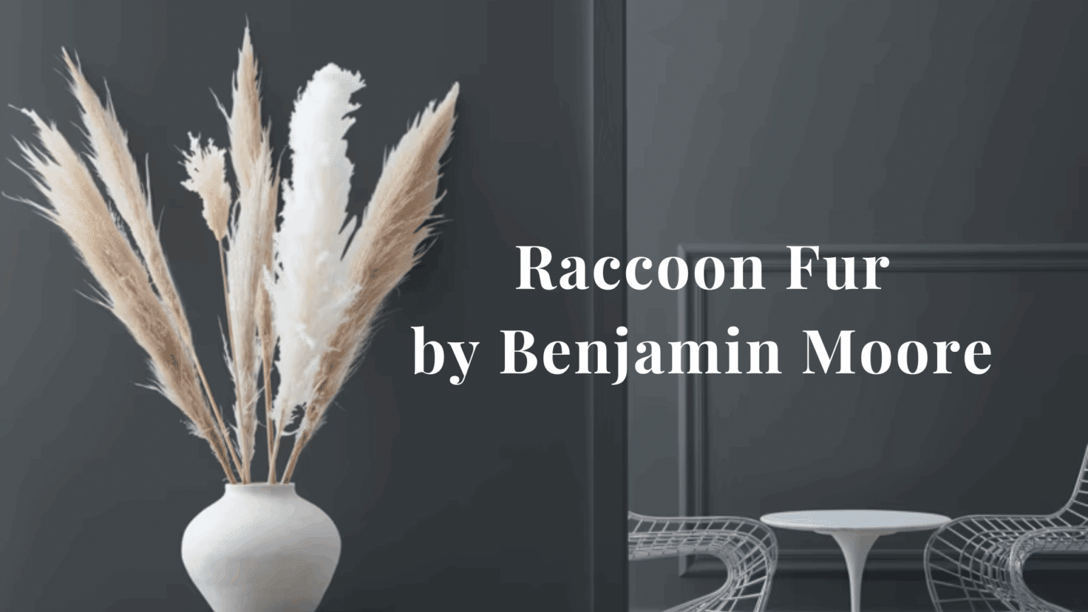 Raccoon Fur (2126-20) by Benjamin Moore: A Complete Guide - Opple House