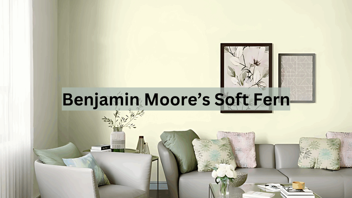 Reviewing Benjamin Moore’s Soft Fern (2144-40) - Opple House