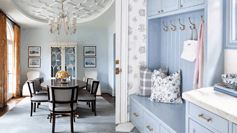 Benjamin Moore Light Blue: A Palette for Peaceful Living - Opple House