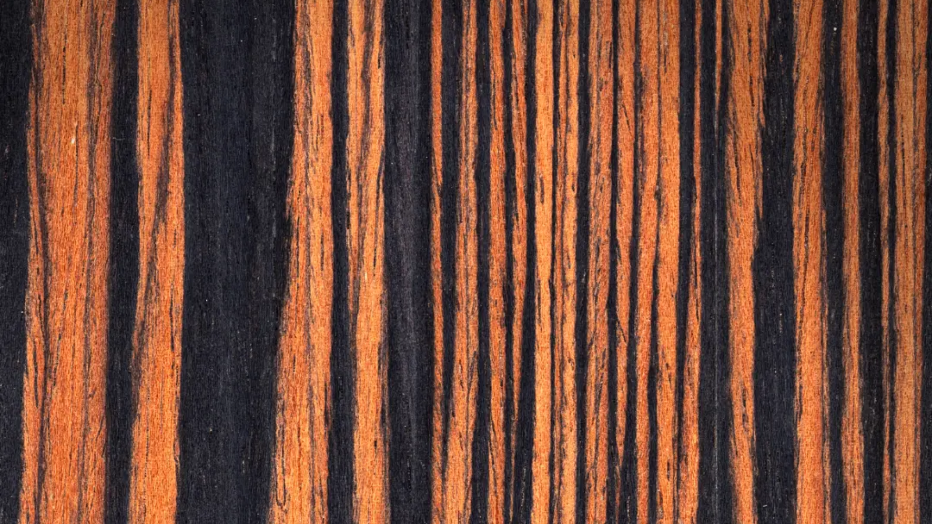 Choosing the Right Dark Wood: Types and Tips - Opple House