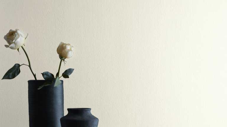 Understanding Floral White (OC-29) by Benjamin Moore - Opple House
