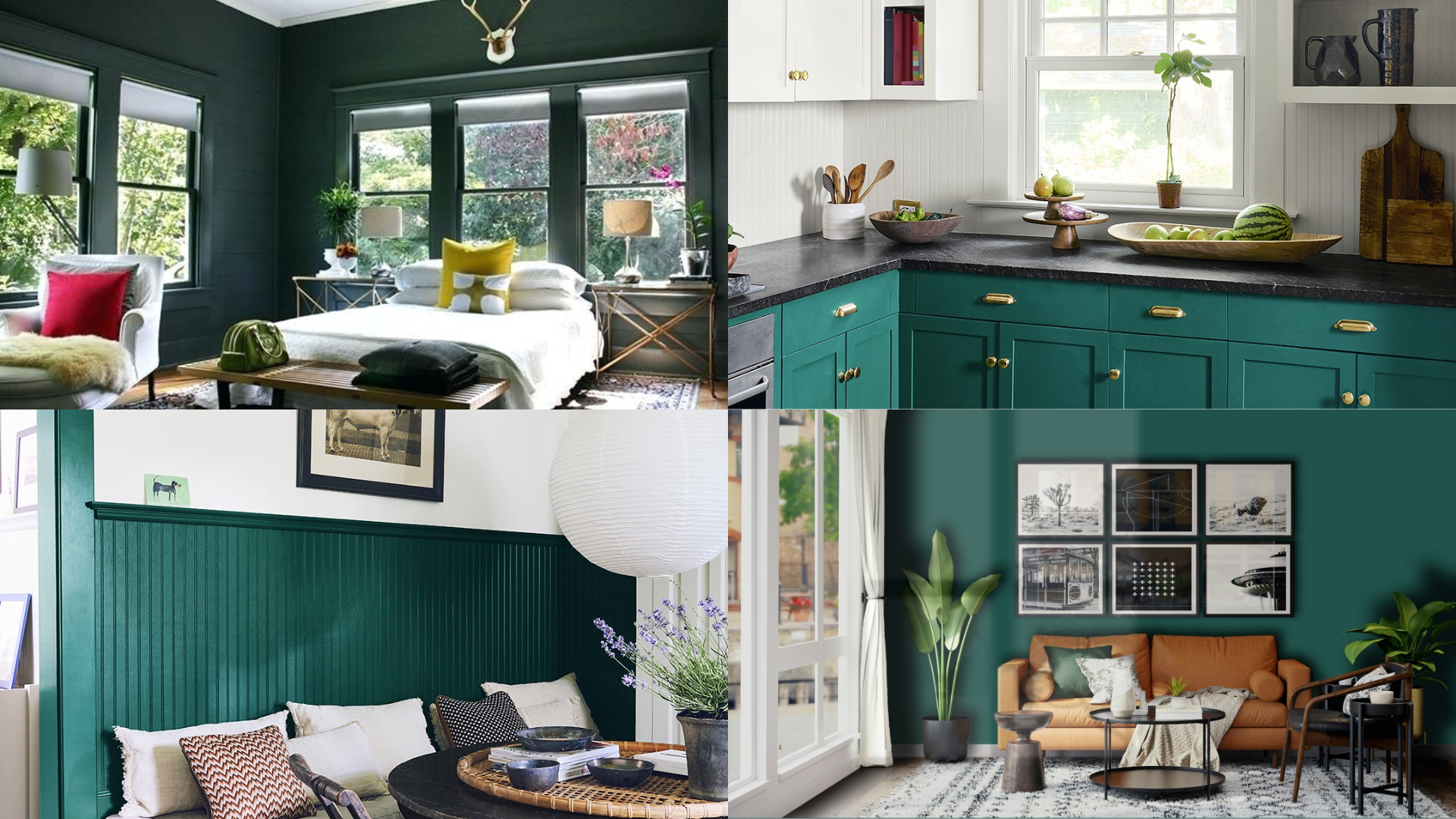 All About Forest Green by Benjamin Moore (2047-10) - Opple House