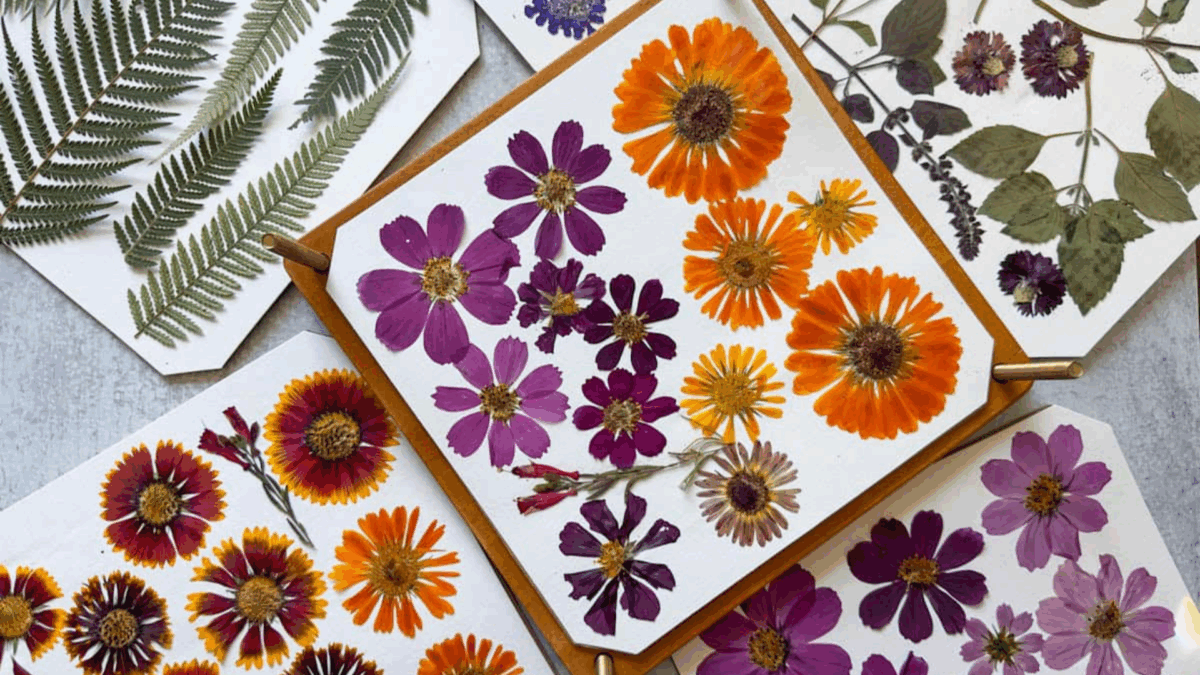 How to Make a DIY Flower Press at Home? - Opple House