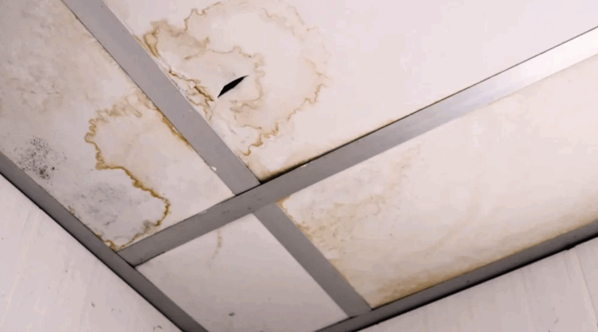 17 Common Signs of a Leaking Roof You Shouldn't Ignore - Opple House