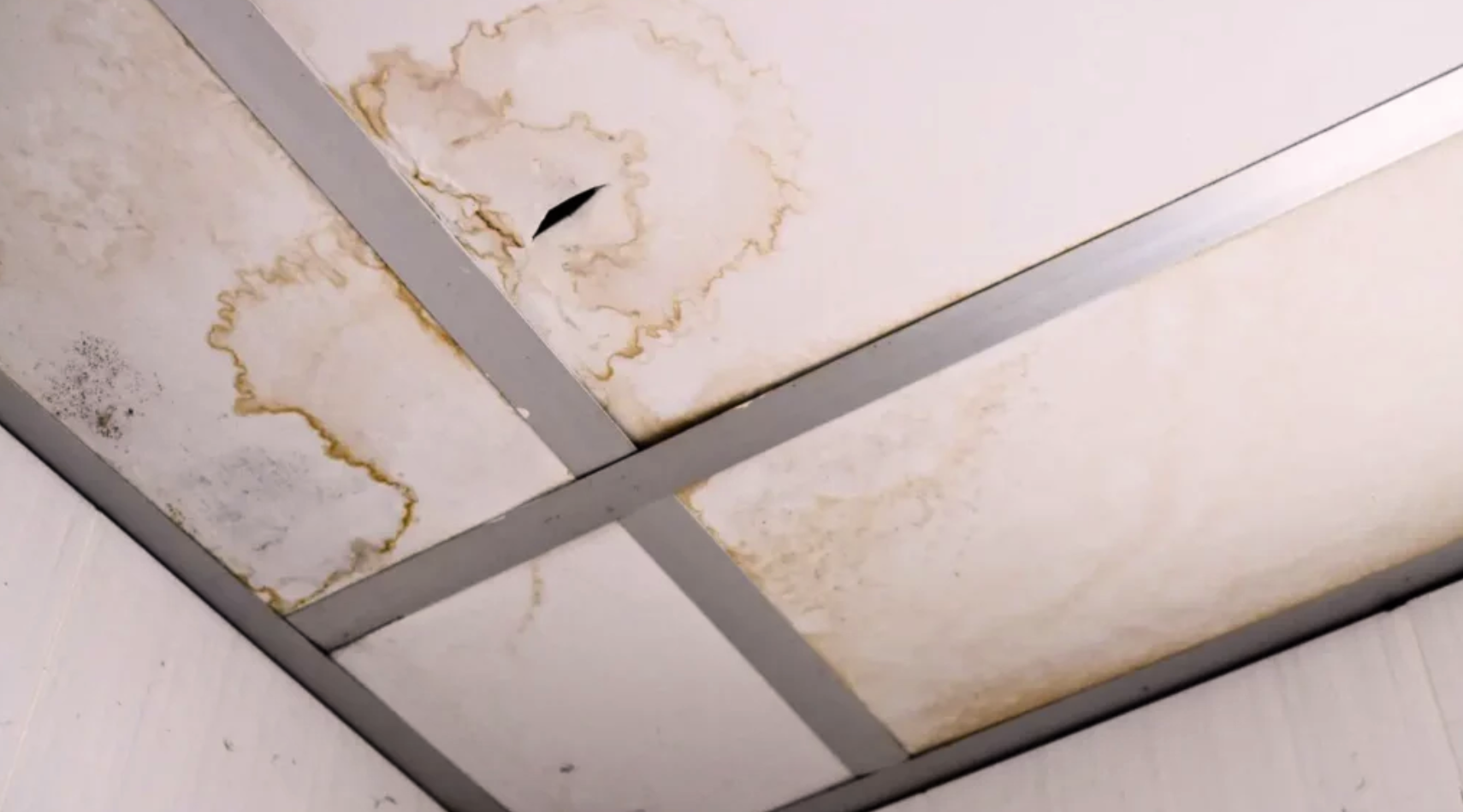 17 Common Signs of a Leaking Roof You Shouldn't Ignore - Opple House