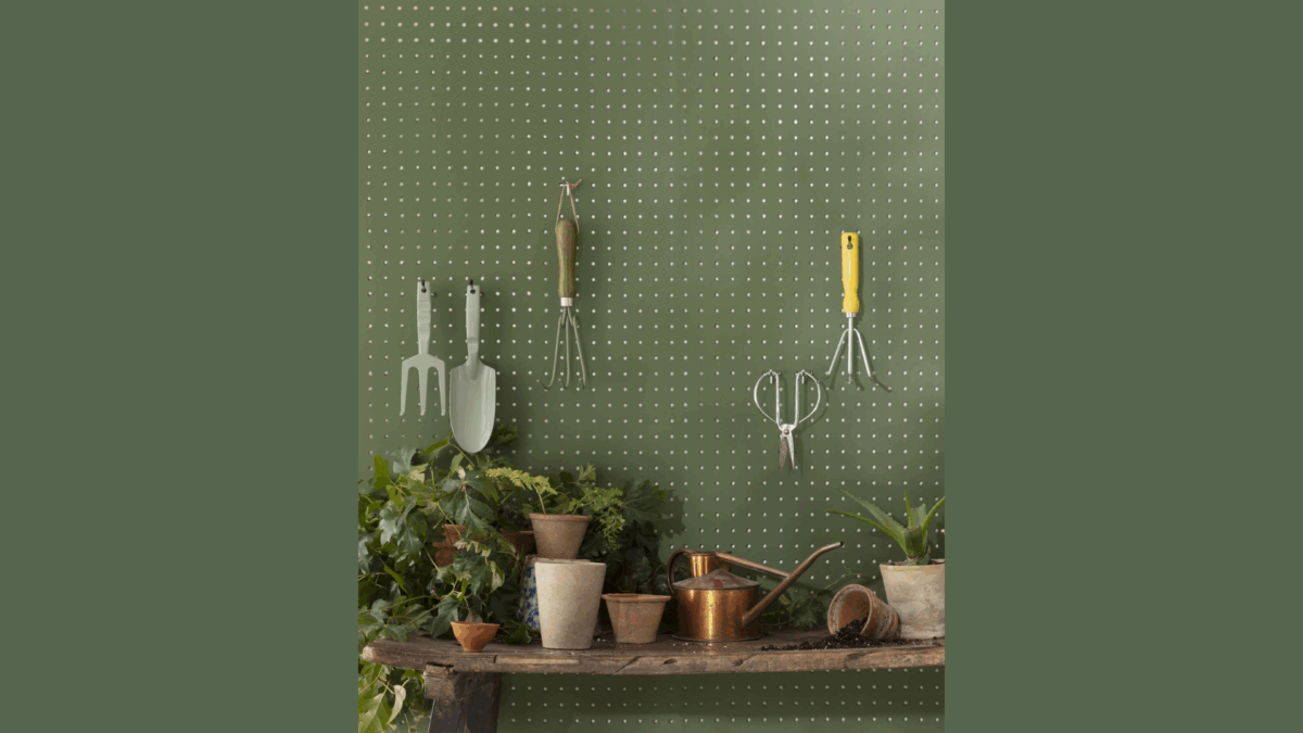 Reviewing Benjamin Moore’s Sweet Basil (455) - Opple House