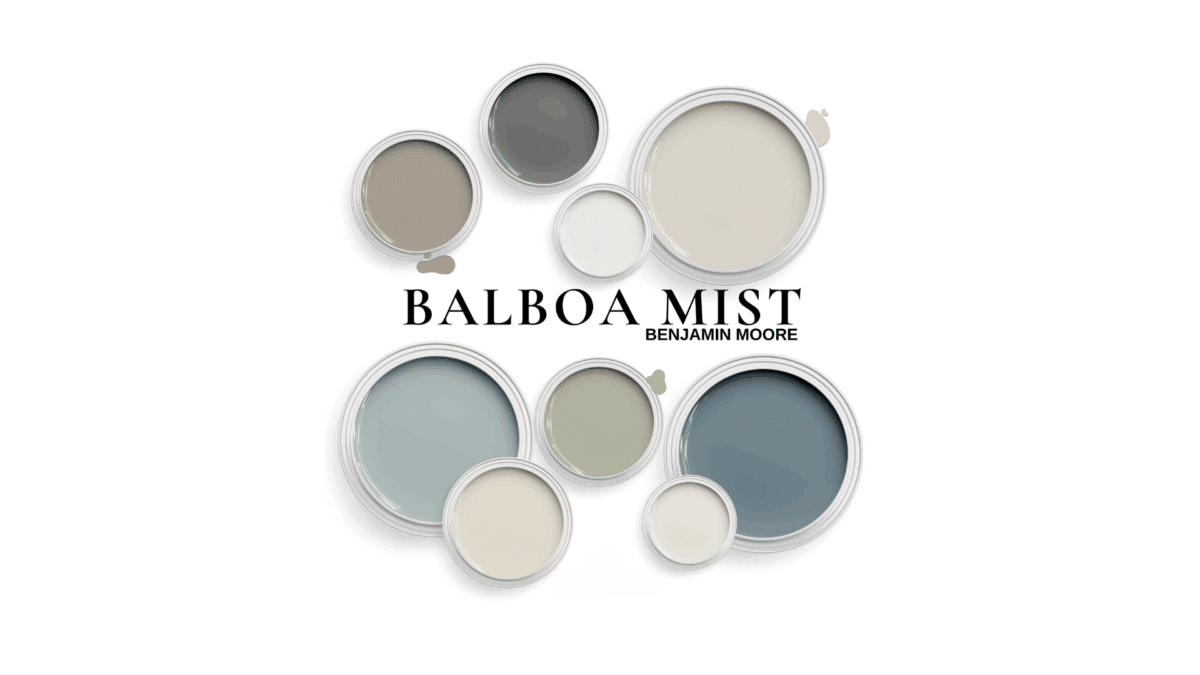 Balboa Mist Benjamin Moore: Color Review & Specs - Opple House