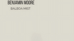 Balboa Mist Benjamin Moore: Color Review & Specs - Opple House