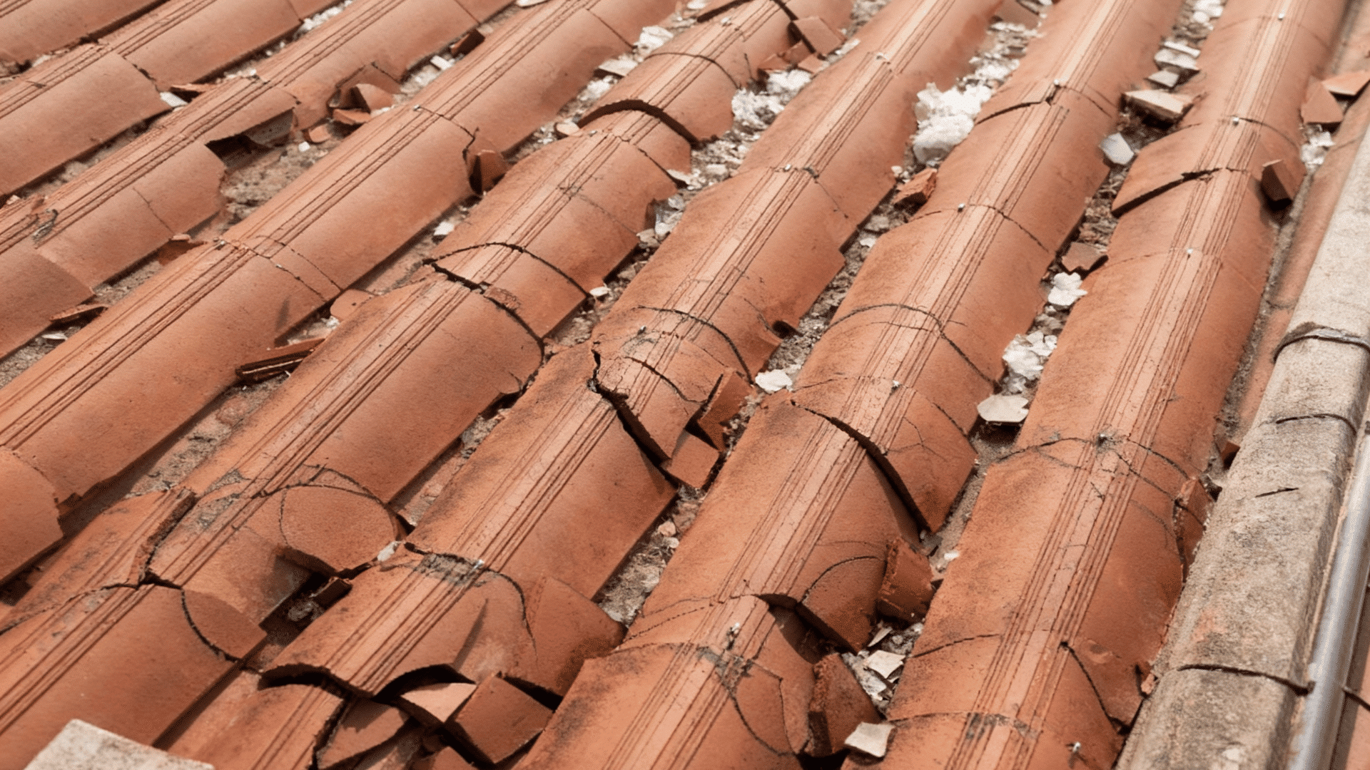 What Does Hail Damage Look Like on a Roof? - Opple House