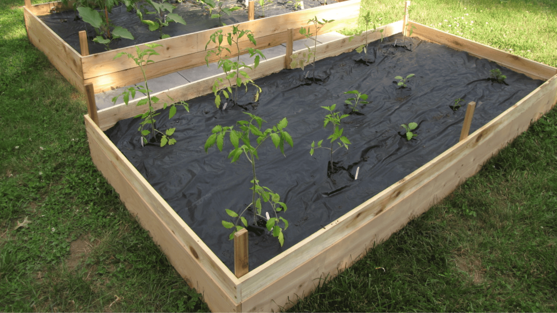 How to Plan 4x8 Raised Garden Bed Layouts? - Opple House