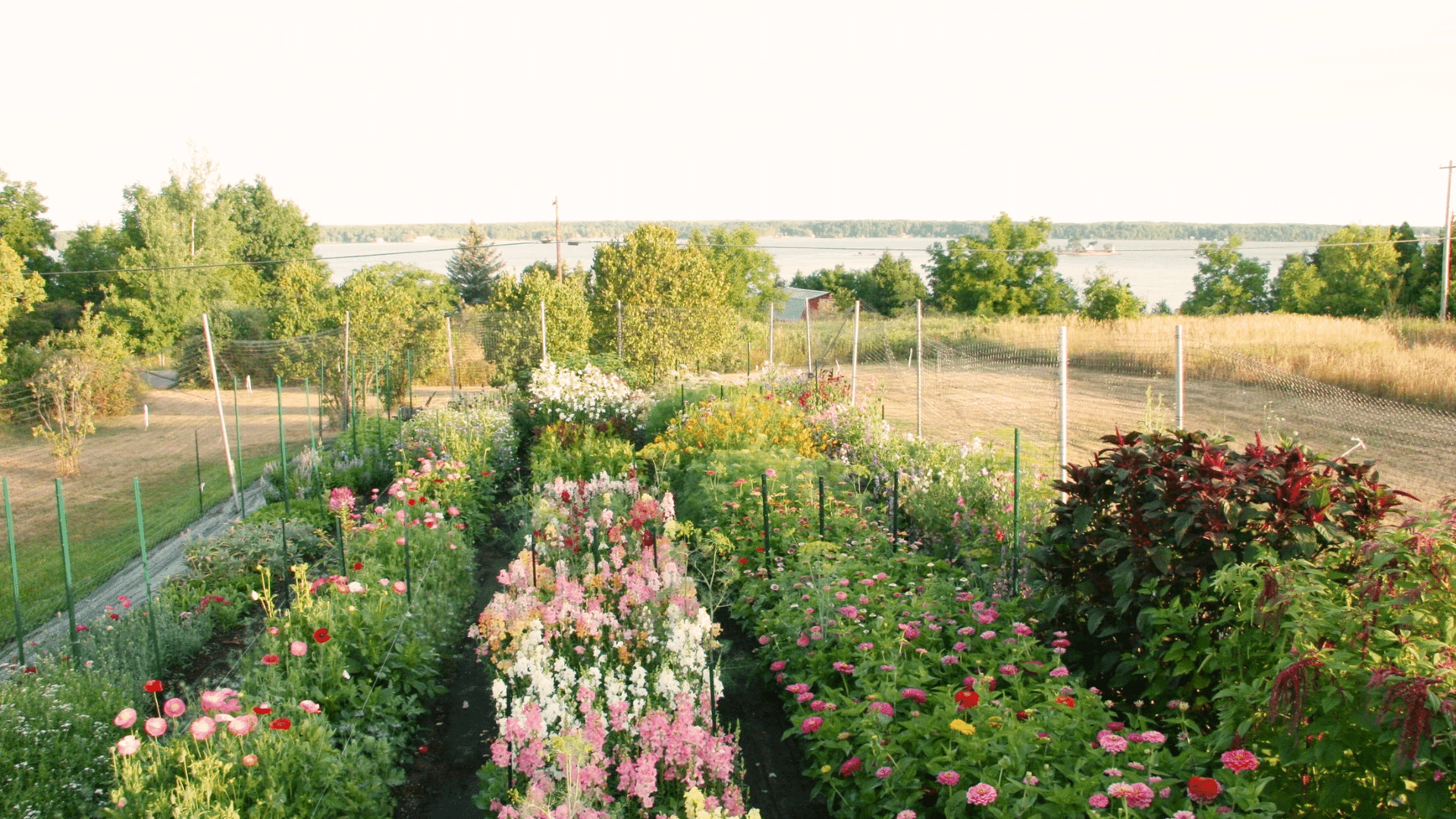 How to Design and Plan a Cut Flower Garden Layout? - Opple House