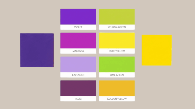 What is the Opposite Color of Purple? - Opple House