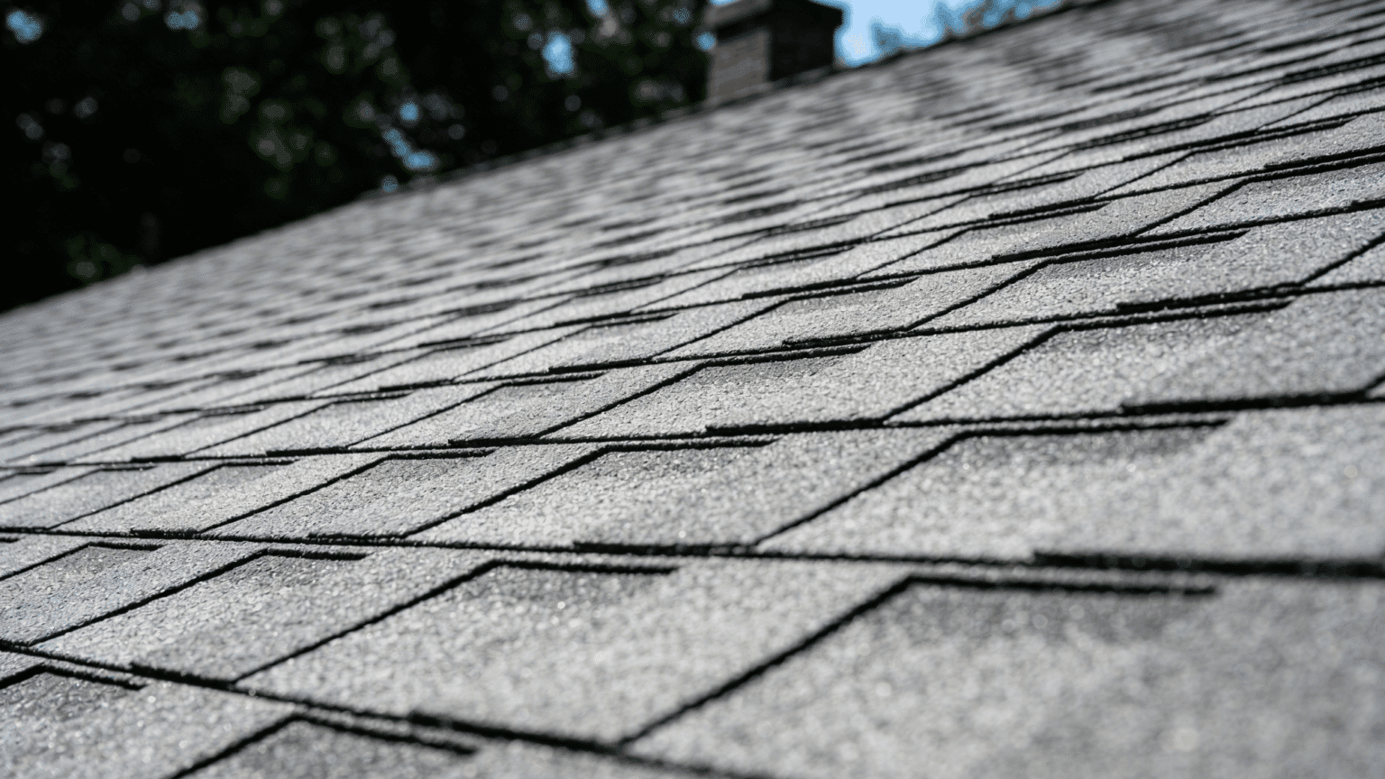 7 Main Roof Shingles Types Every Homeowner Should Know - Opple House