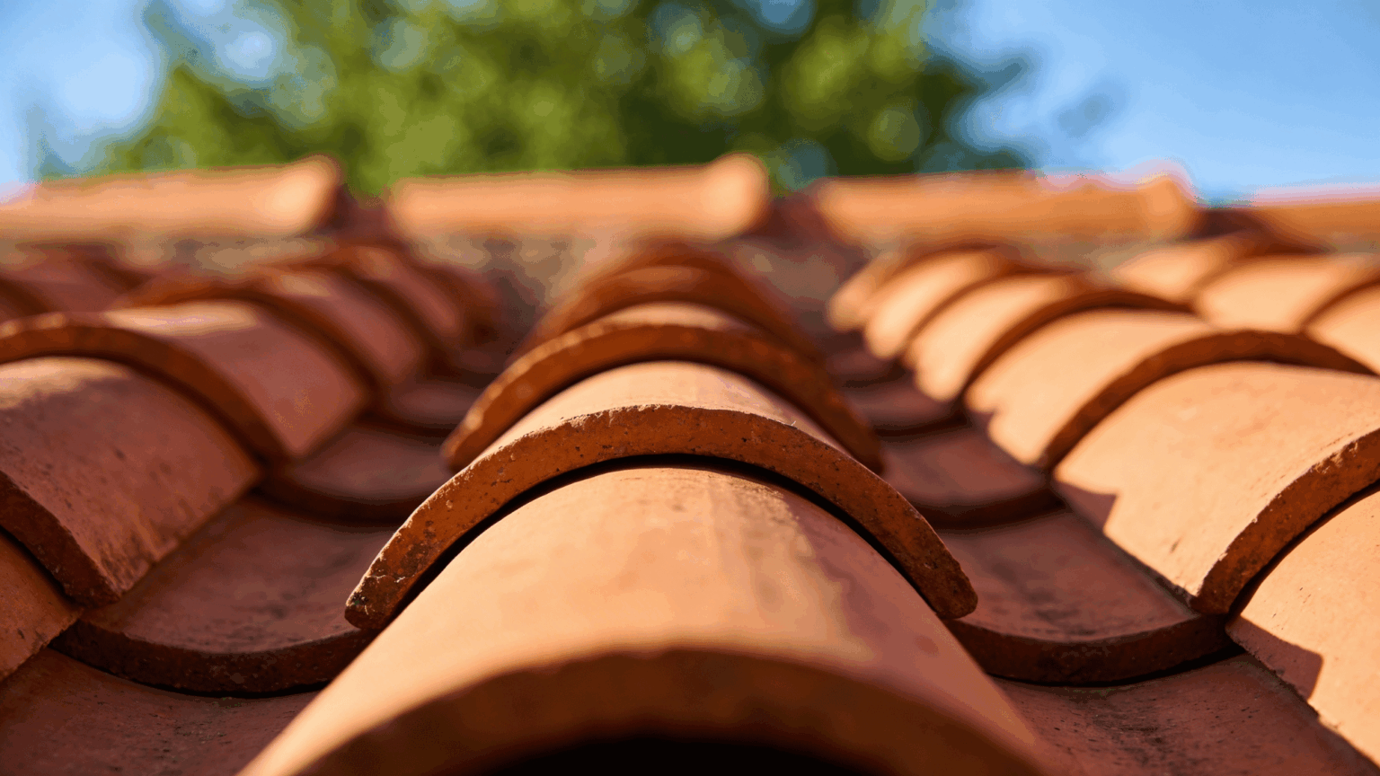 7 Main Roof Shingles Types Every Homeowner Should Know - Opple House